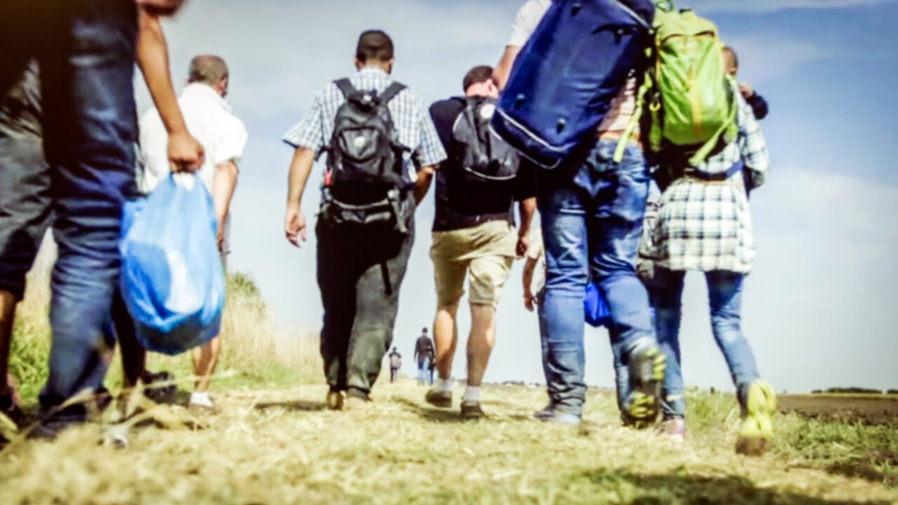 Migration and Diversity research theme | International Institute of ...