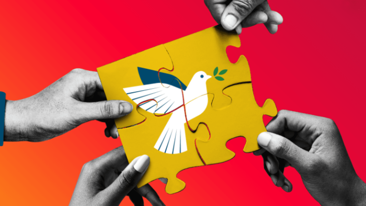 Theme collection in ISS Library lounge: Peace | International Institute ...